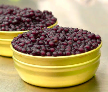 Les stages de pâtisserie de Simon Pacary - La Villa des Chefs